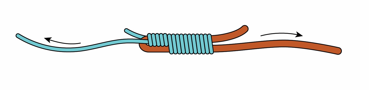 Albright Knoten variante - Die Angelzeitung